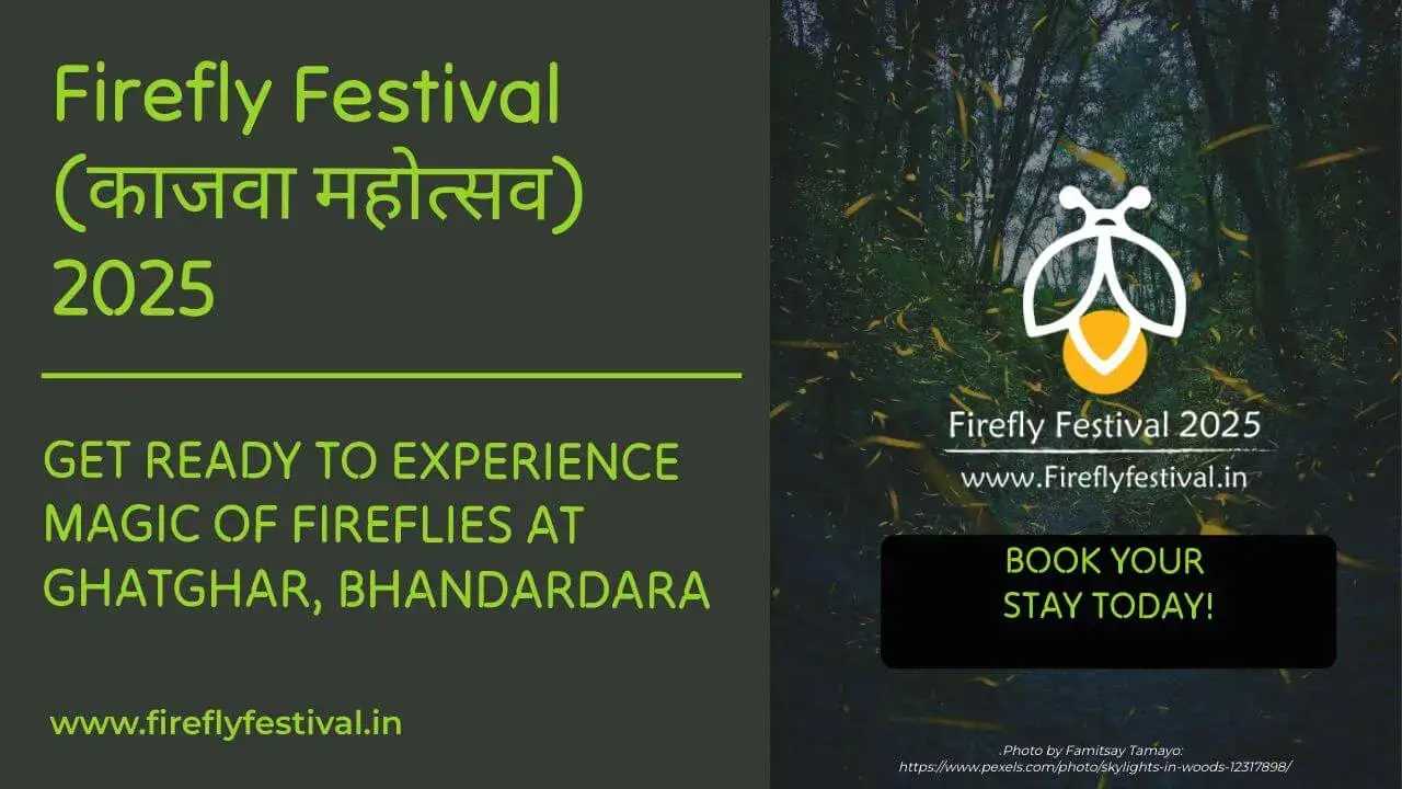 Firefly Festival 2025 | Bhandardara